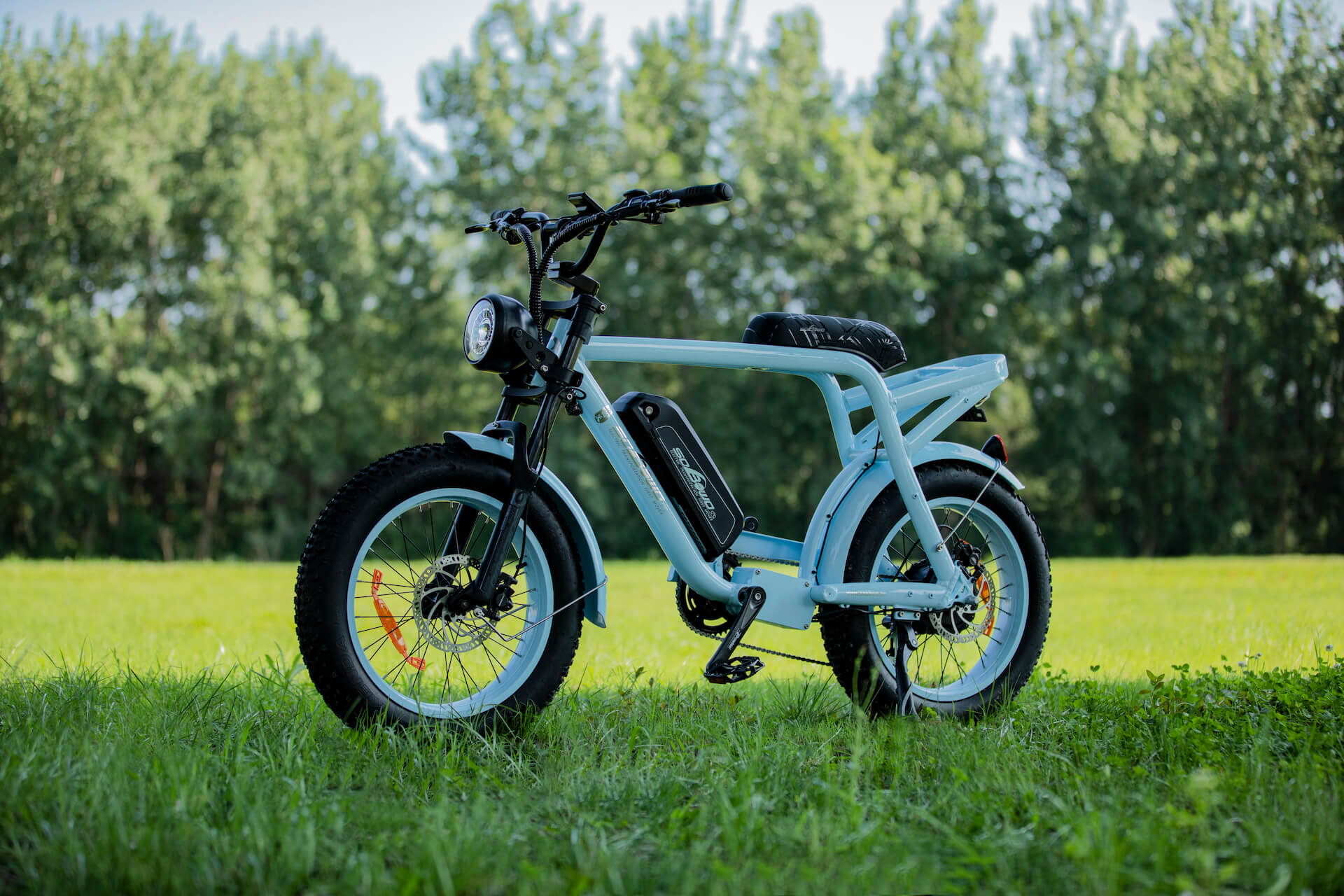 Best Retro Fat Tire Electric Moped Bike for Sale - Sobowo E-bikes